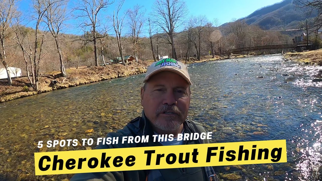 5 SPOTS TO FISH FROM THIS BRIDGE : CHEROKEE TROUT FISHING - YouTube