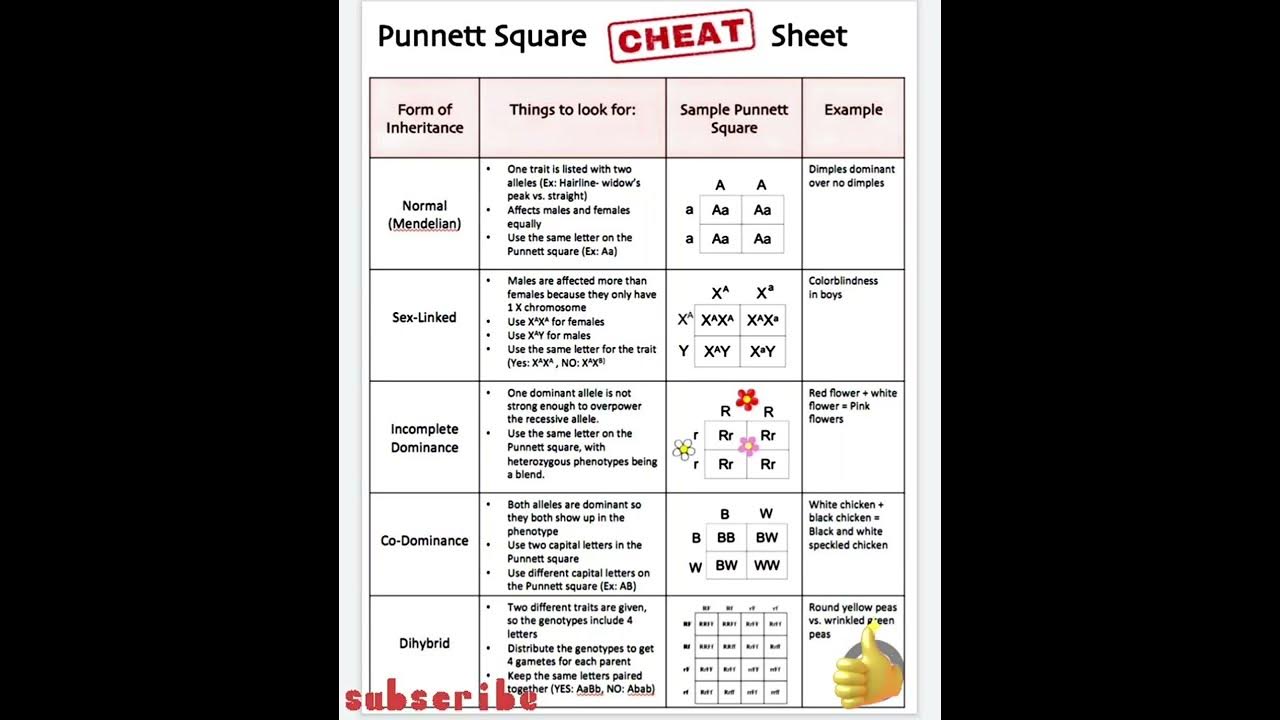 Inheritance Form|Cheat sheet - YouTube