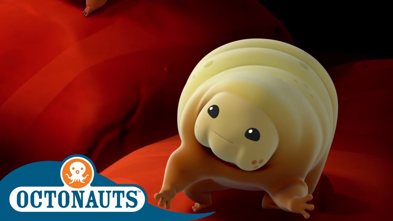 Octonauts - Cute Tiny Creatures | Cartoons for Kids | Underwater Sea ...