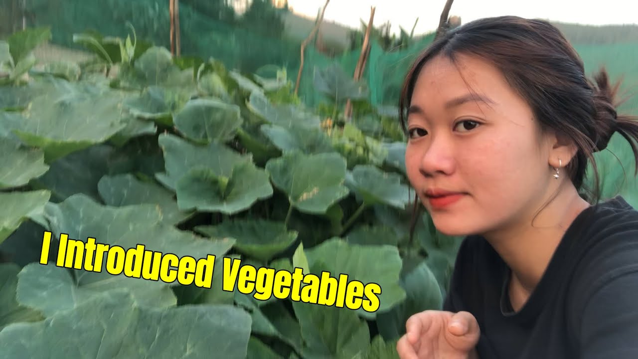 The healthy raast vegetable gives me more motivation to choose more ...