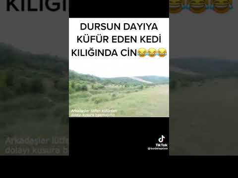 dursun dayiya küfür Eden kedi kılığında çin 😂😂