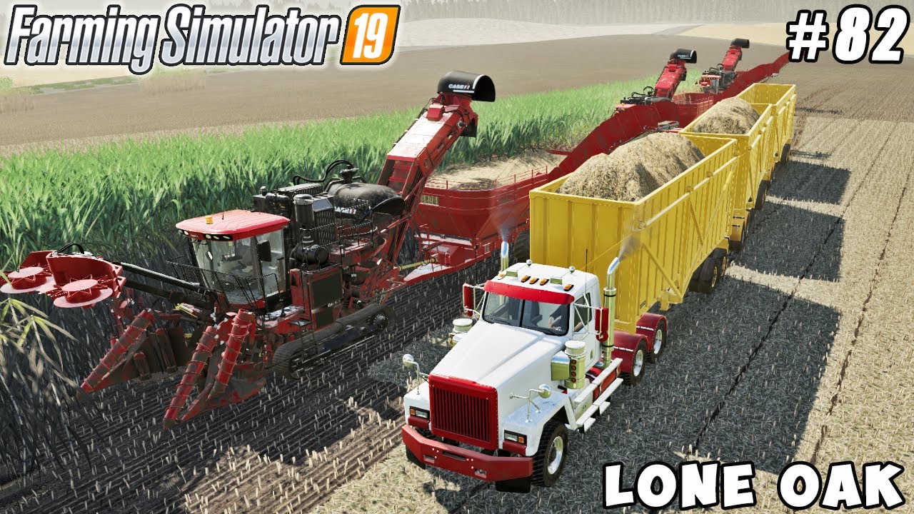 Harvesting of sugar cane, part 2 | Lone Oak Farm | Farming simulator 19 ...