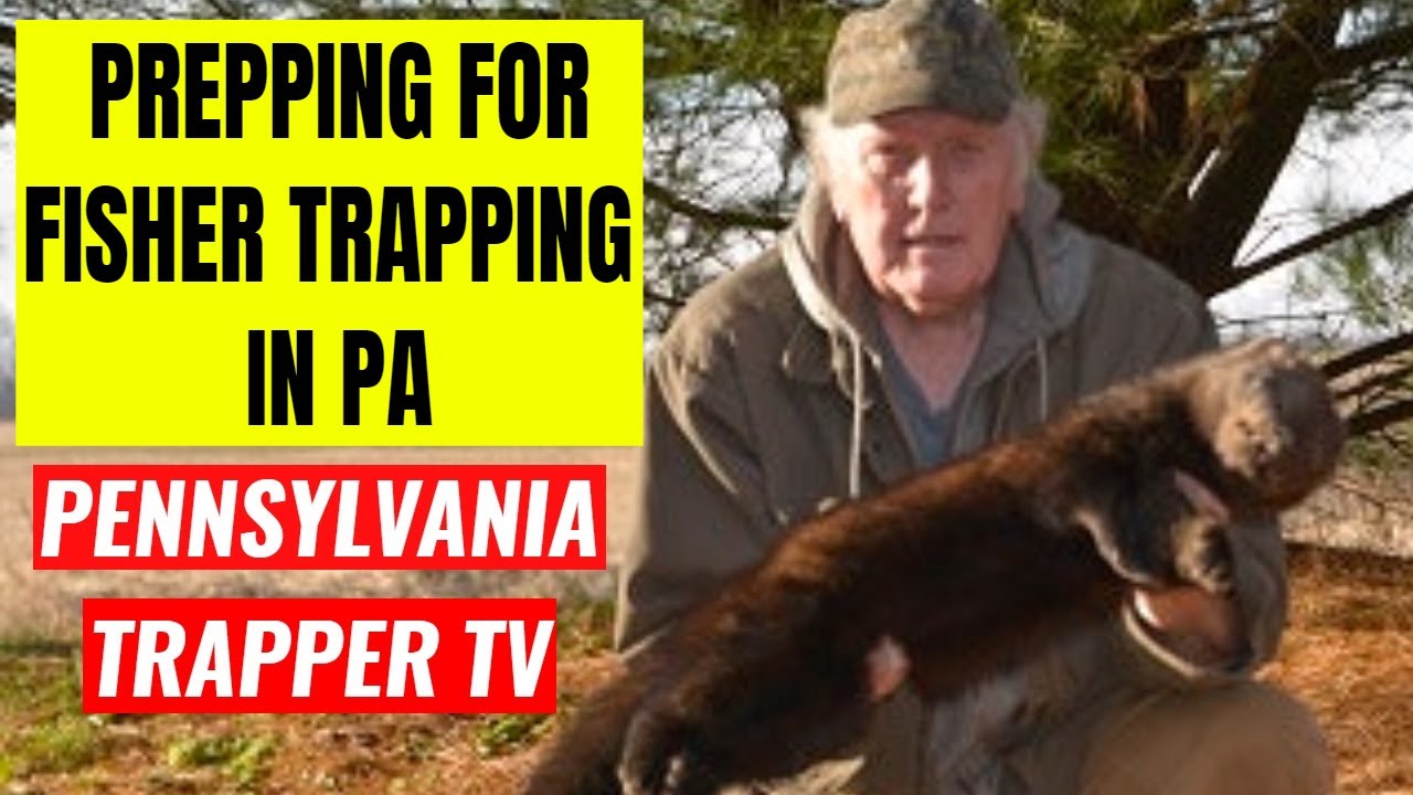 Prepping For Fisher Trapping In Pa - YouTube