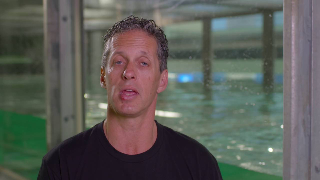 Meet Brian Haus: Wind and Waves (Gulf Dispatches) - YouTube