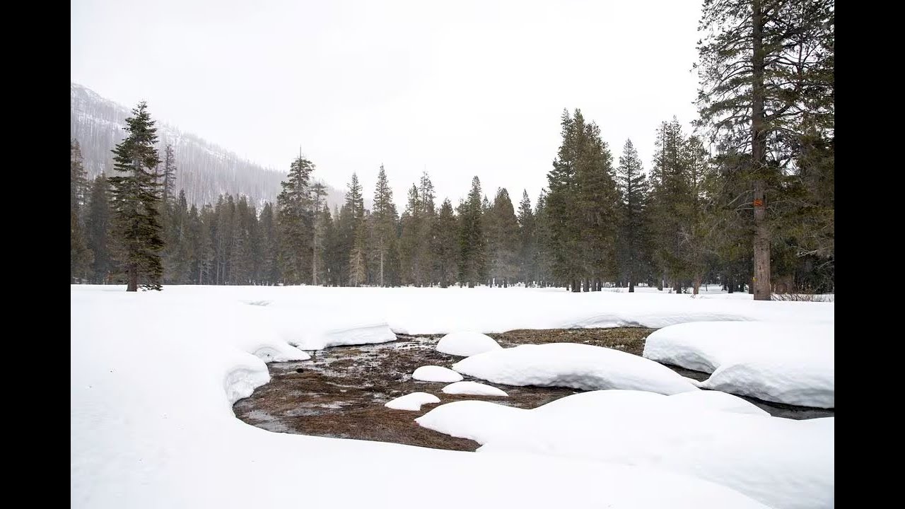 From Blizzard to Blessing: The Importance of Snow Accumulation for ...