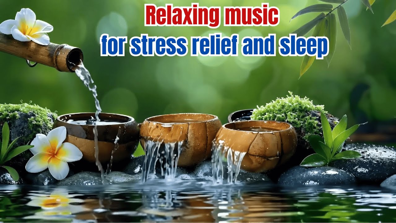 Relaxing meditation music for stress relief and sleep I Eastern Wisdom ...