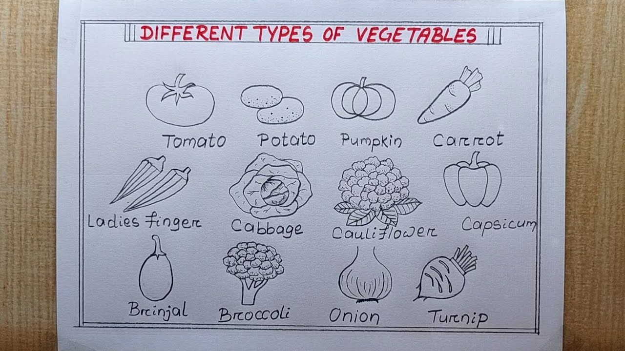 Different types of Vegetables drawing easy| How to draw 12 Different ...