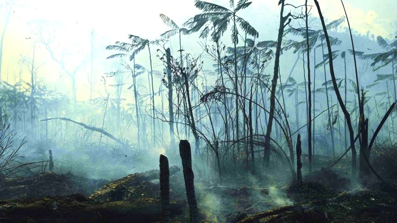 The Urgent Crisis of Rainforest Destruction and its Devastating Impact ...