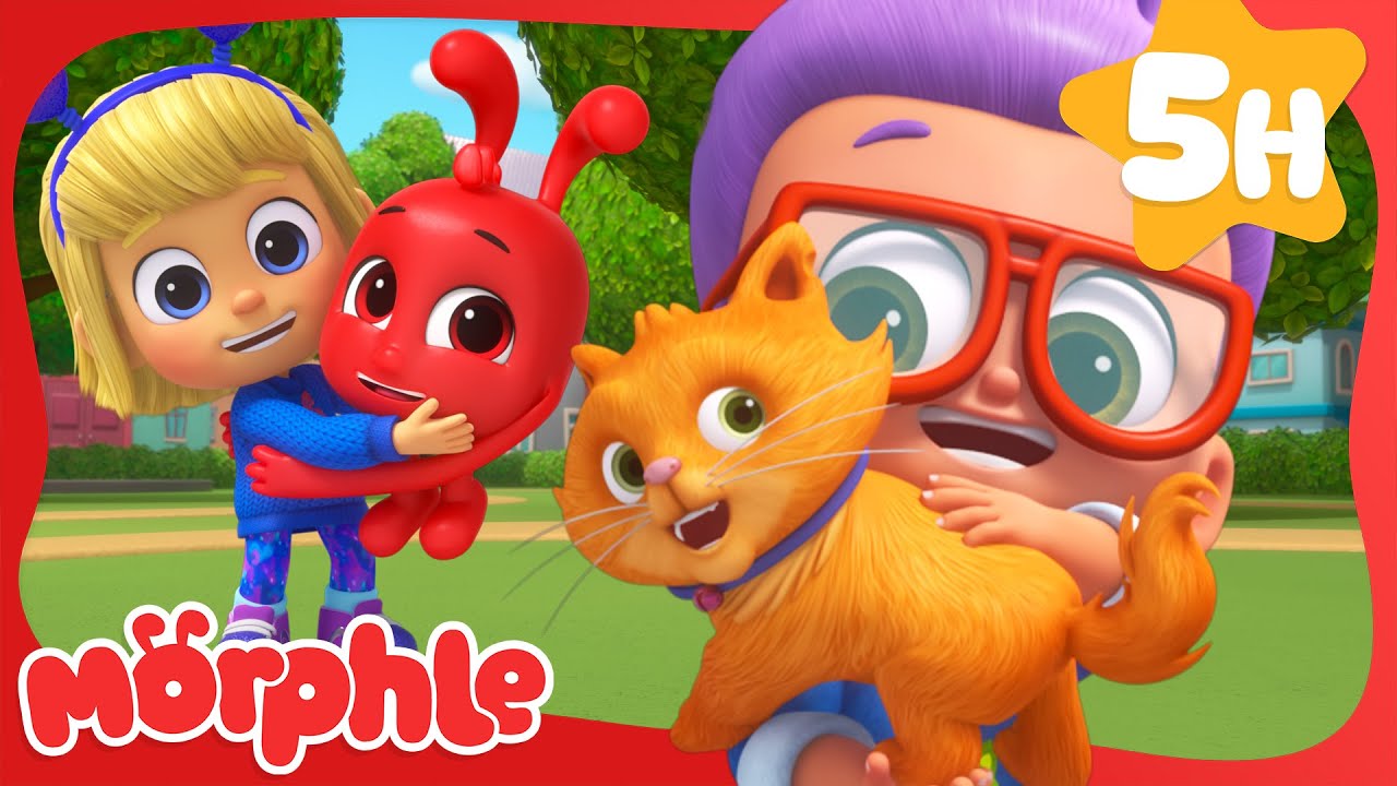 Winston and the Birthday Kitten! So Cute!🎈 | Morphle's Family | Kids ...