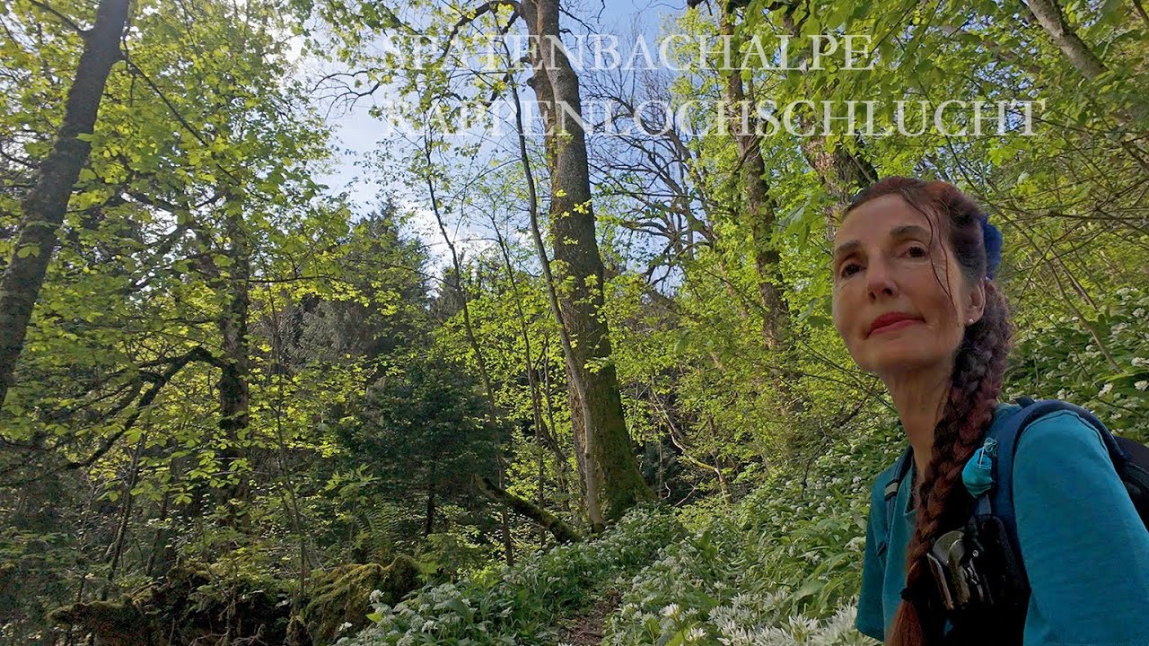 Hintere Spätenbachalpe - Rappenlochschlucht - Rundwanderung - YouTube