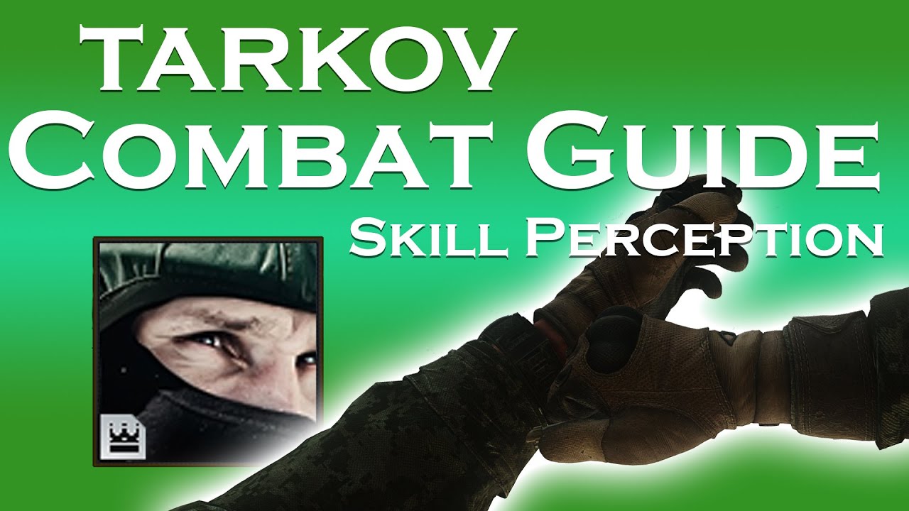 Escape From Tarkov BASICS TO COMBAT Guide - Skill: Perception - YouTube