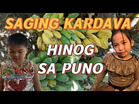 Vlog 3 : NANGUHA NANG SAGING SA BUKID PARA MAY PANG SNACKS - YouTube