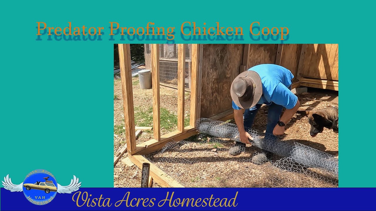 Predator proofing the new Chicken Coop. We put wire on the flooring and ...