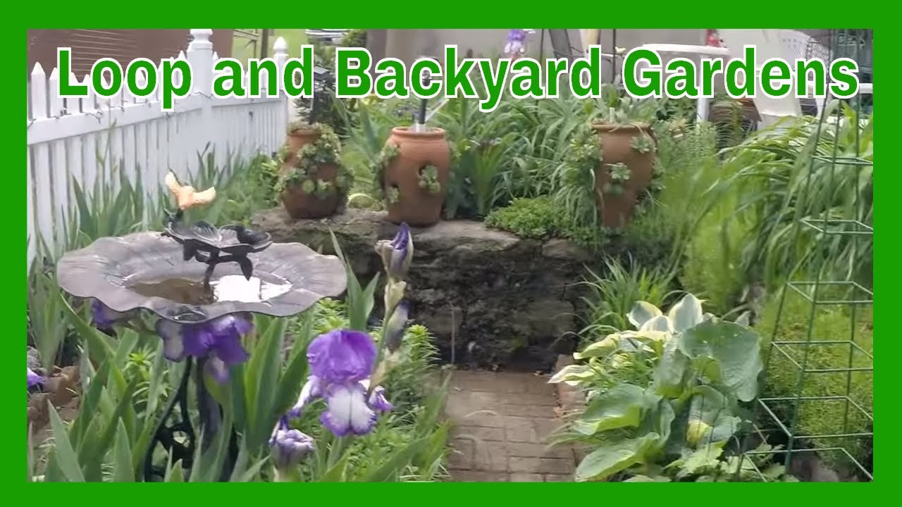 5-1-17 Loop Garden and Backyard Garden - YouTube