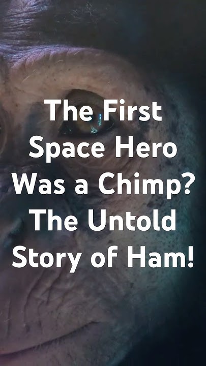 The First Space Hero Was a Chimp? The Untold Story of Ham! - YouTube