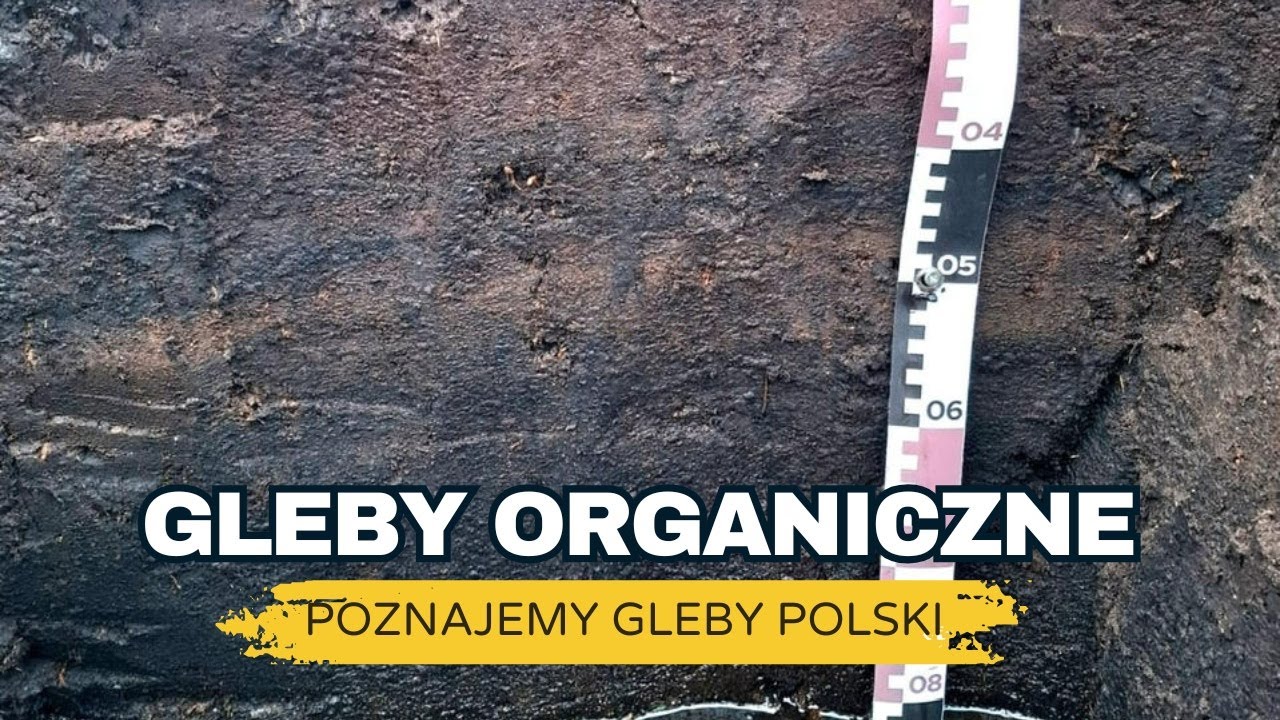 💡Poznaj gleby organiczne i mineralno-organiczne użytkowane rolniczo w ...