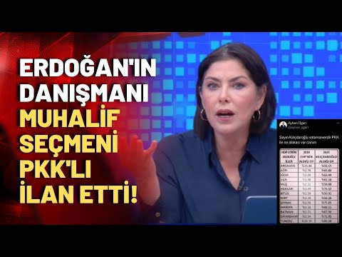 Muhalif seçmeni terörist ilan eden Erdoğan'ın danışmanına Şirin Payzın'dan sert çıkış!