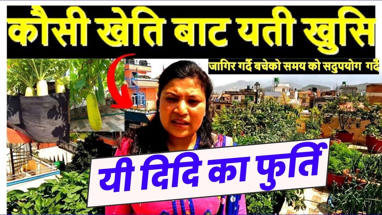 कौशी खेति यसरि गर्न सकिन्छ। kaushi_kheti_nepal - YouTube