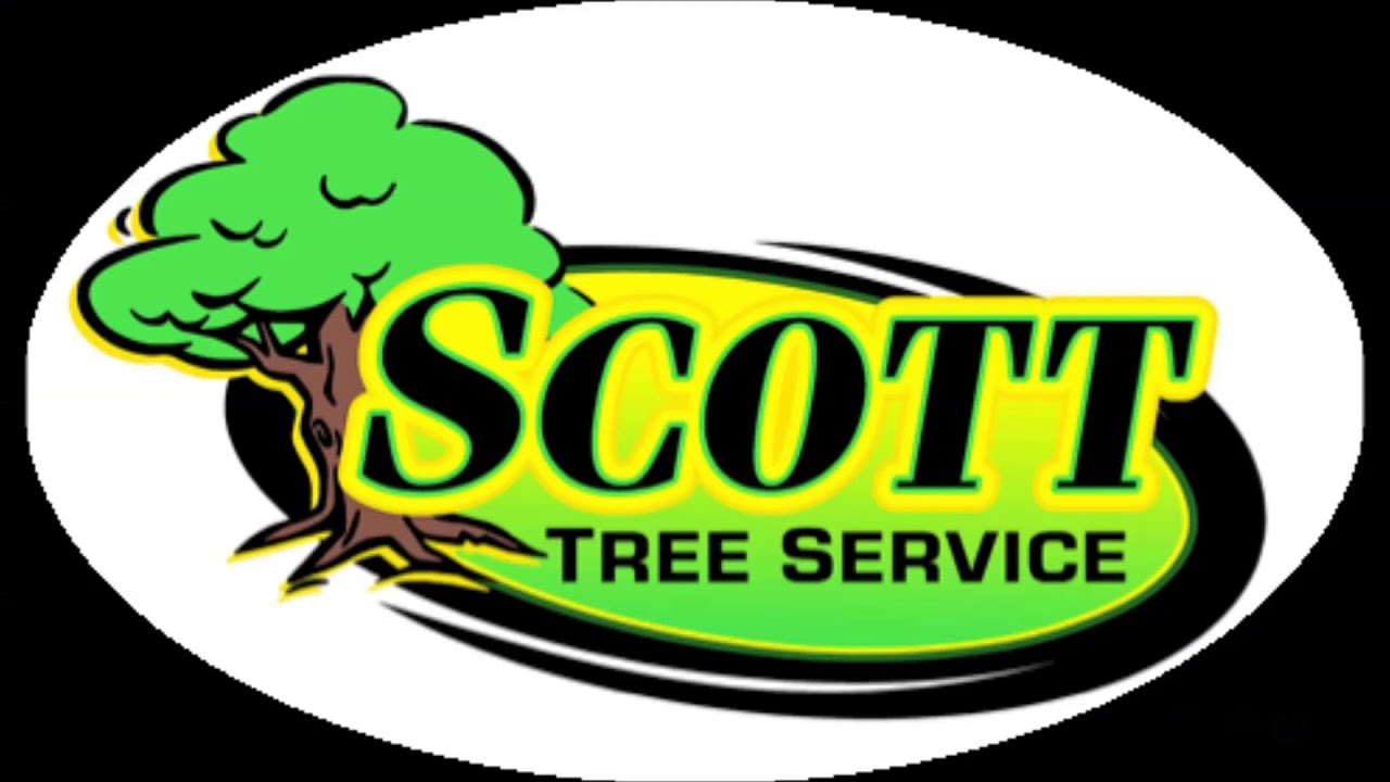 Scott Tree Service - (336) 299-8184 - YouTube