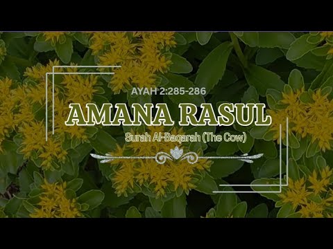 Amana Rasul English Translation Mufti Menk - YouTube