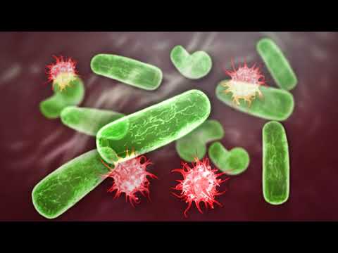 Bactericidal effect - YouTube