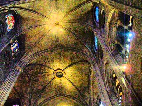 Notr Dam Katedrali Kısa Bir Bakış - Notre-Dame Cathedral - Cathédrale Notre-Dame de Paris - 101 1786