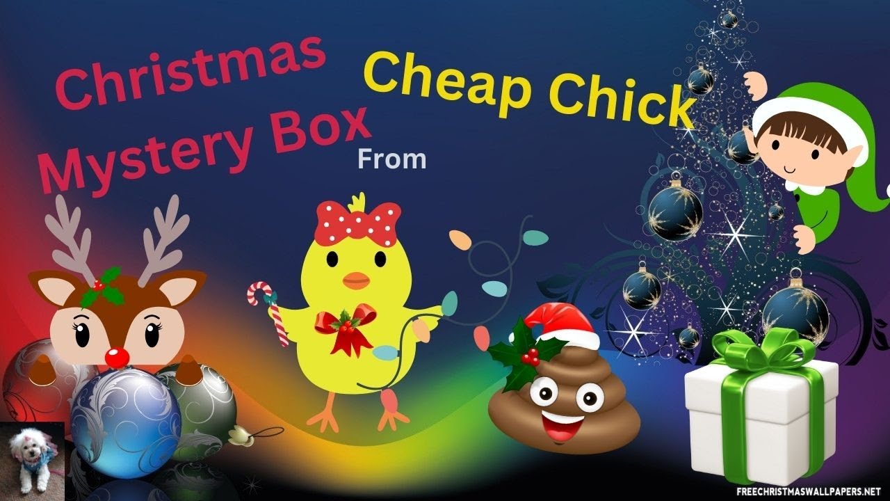 Cheap Chick Christmas Mystery Box 2 - YouTube