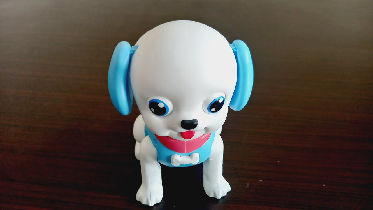 Fun Dog fun dog toys fun dog facts fun dog tricks with Nomi Playhouse ...