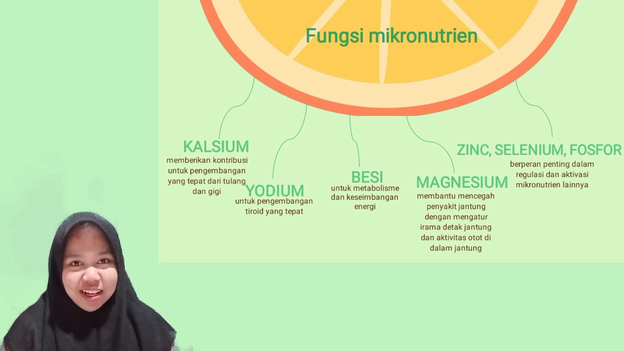 Mikronutrien - YouTube