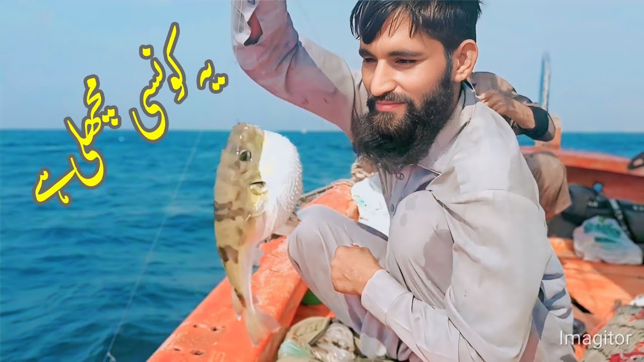 Fishing videos with my team hunting 🎣 a big and boll fishes on Charna ...