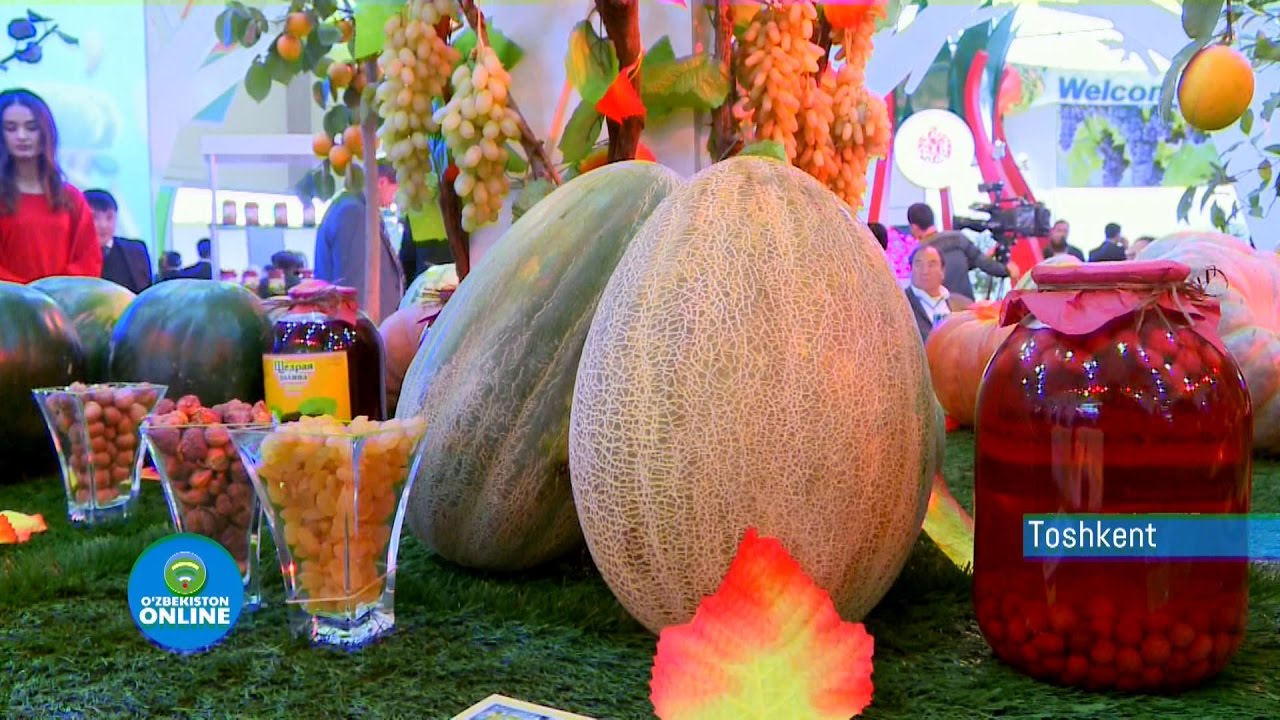 I XALQARO MEVA-SABZAVOT YARMARKASI QANDAY YANGILIKLARNI TAQDIM ETADI ...