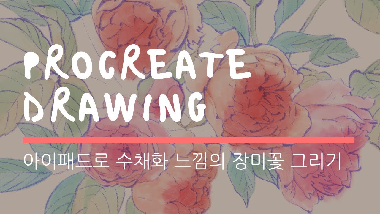 프로크리에이트 드로잉 아이패드 프로로 장미 꽃 수채화 그림 그리기 Youtube