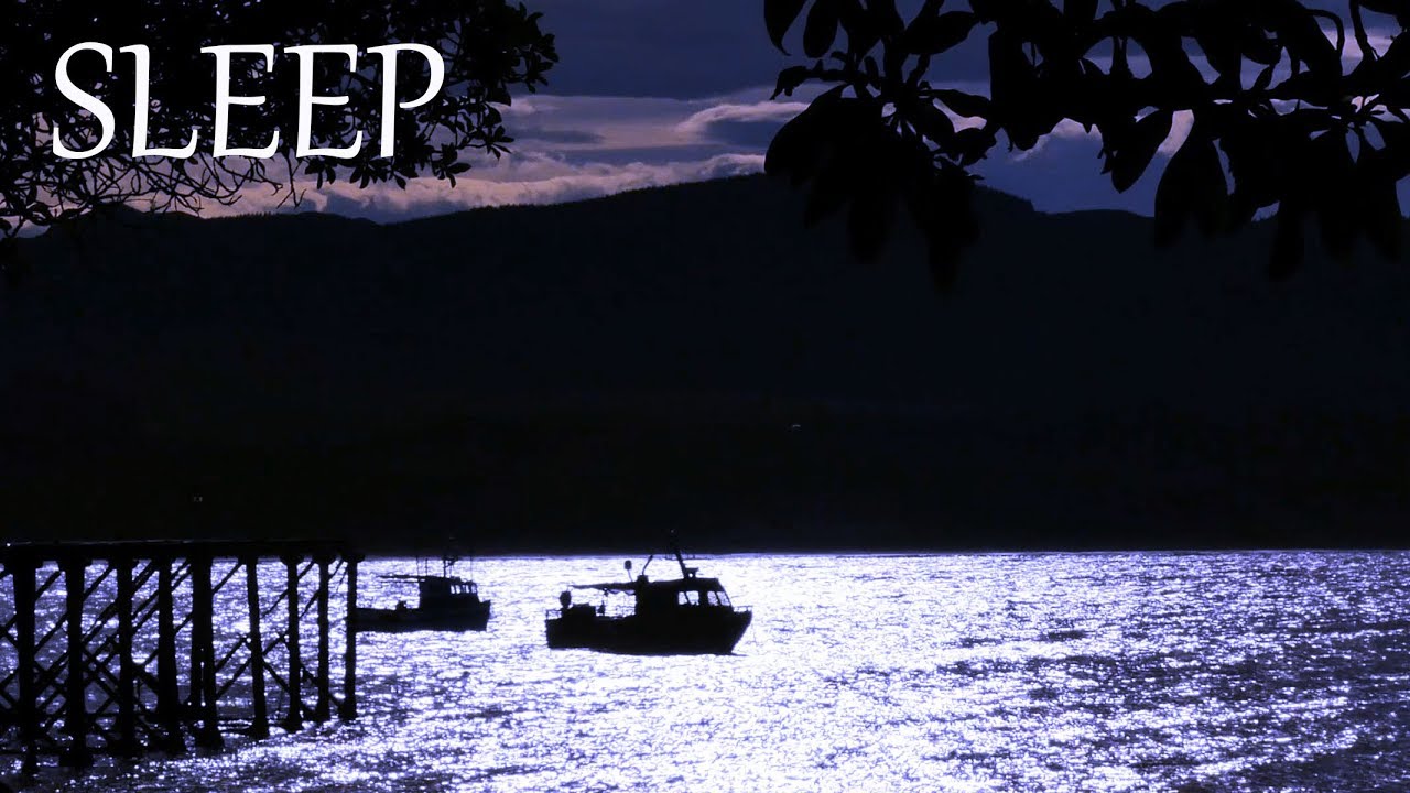 Sleep Music and Water Forest Sounds - Calming Night Scenery - YouTube