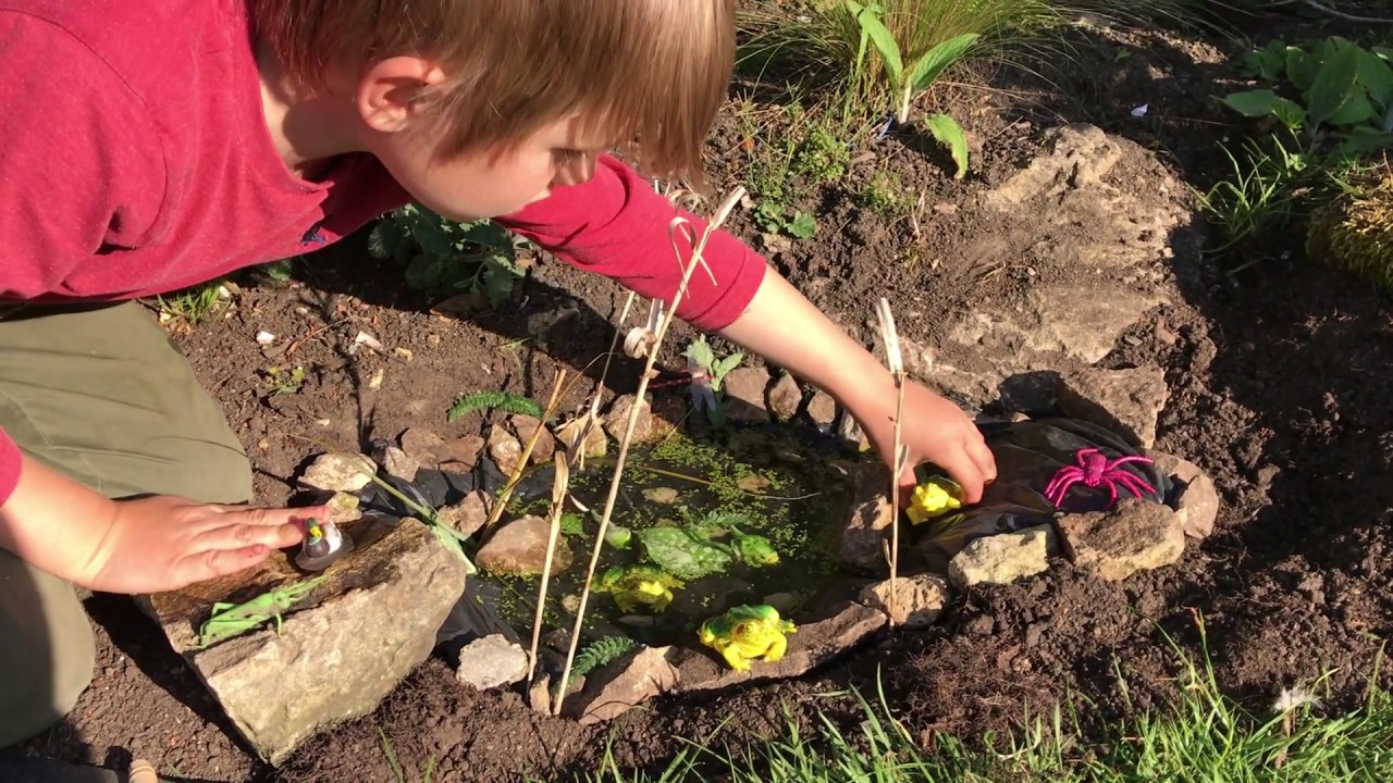 Frogs and Toads - Build a pond - YouTube