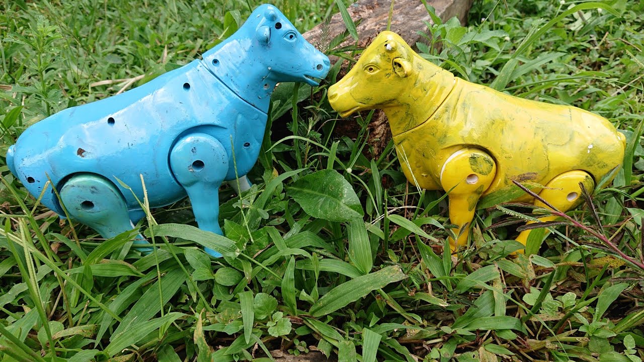 finding the colour cow - YouTube