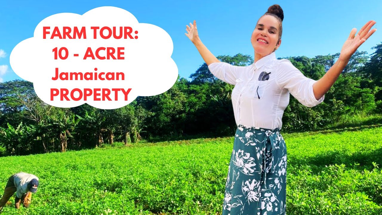 Ultimate 10-ACRE Farm Tour: Jamaican Rastafarian Farmer Shares Tips for ...