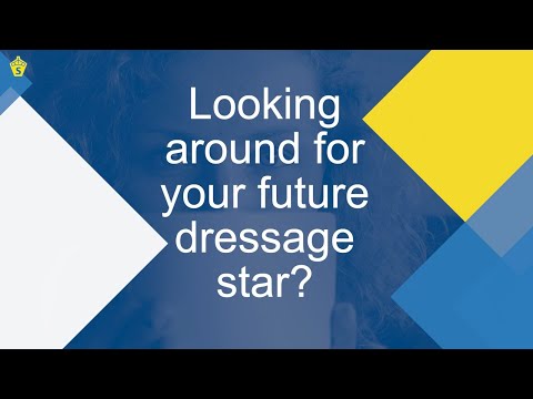 1. SWB ELITE DRESSAGE FOALS ONLINE AUCTION