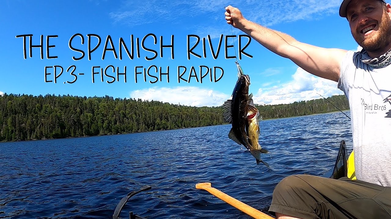 The Spanish River Ep.3- Fish Fish Rapid - YouTube
