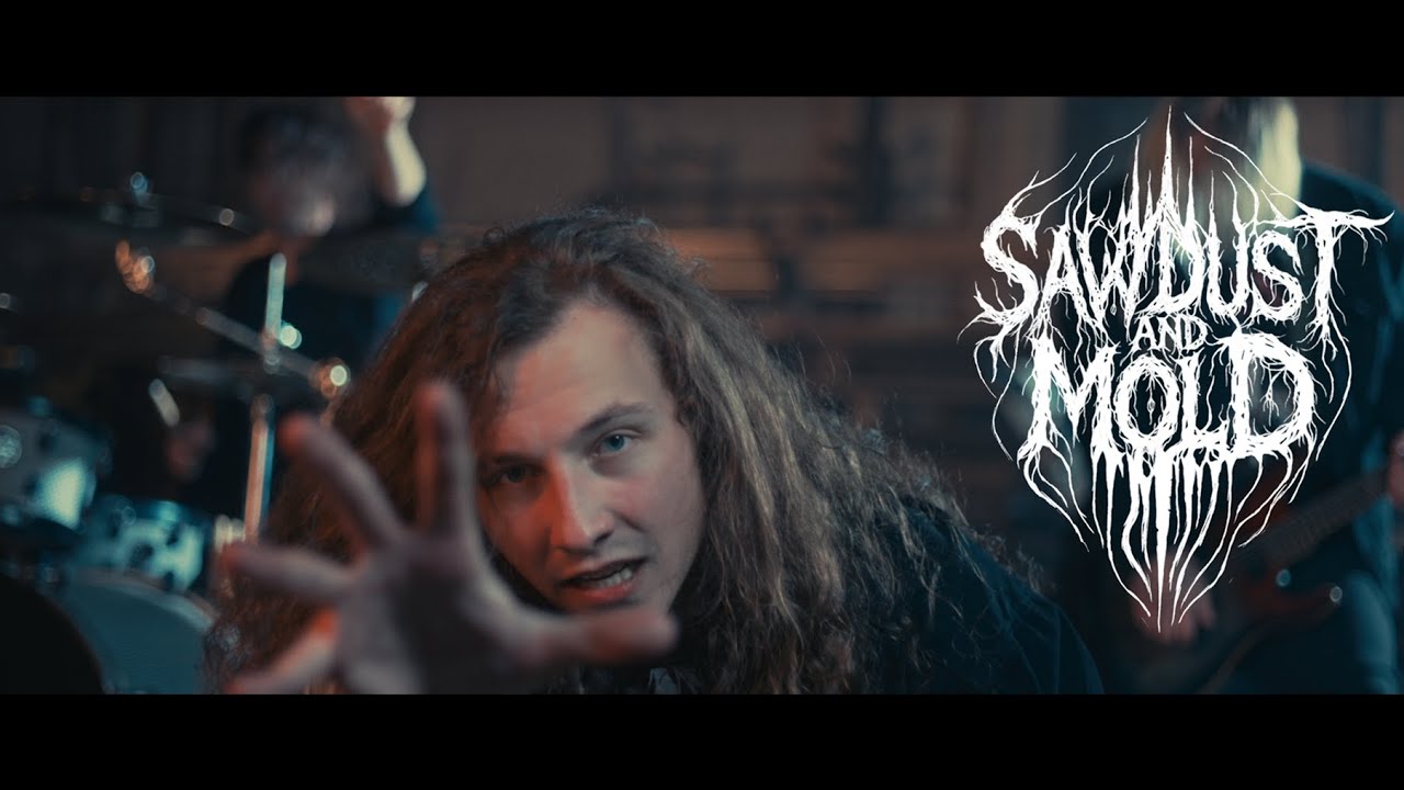 Sawdust and Mold - Misery (Official Music Video) - YouTube