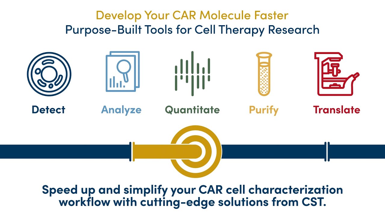 Characterize your CAR-Engineered Cells Faster and Easier - YouTube