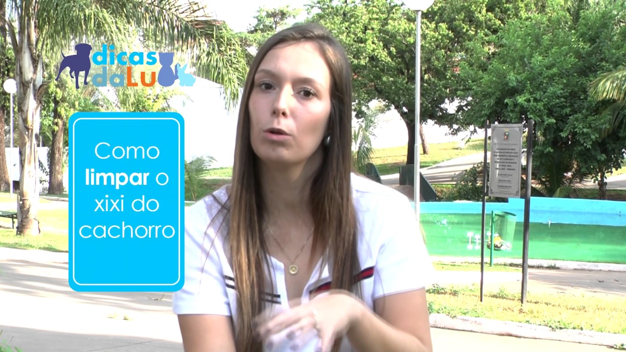 Como ensinar seu pet a fazer xixi no lugar certo - DICAS DA LU XIXI ...