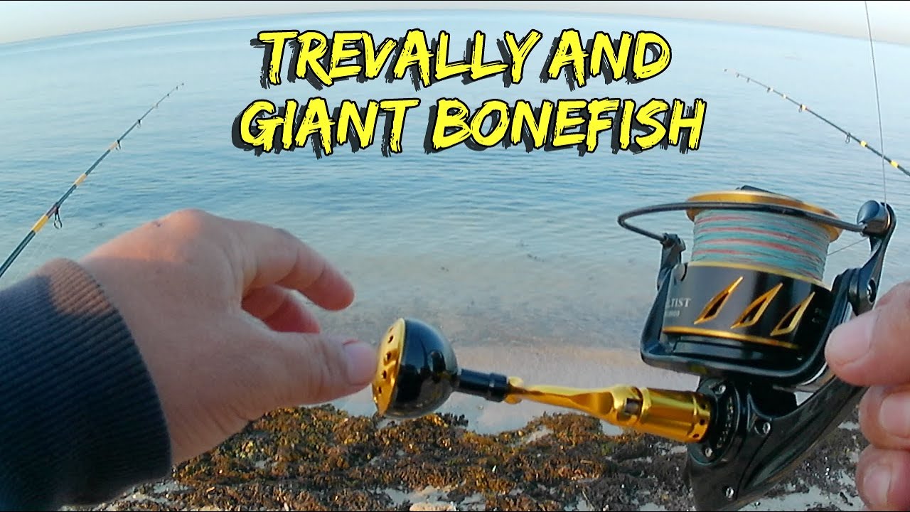 CATCH GIANT BONEFISH AND TREVALLY SOUTH JEDDAH FISHING ADVENTURE - YouTube