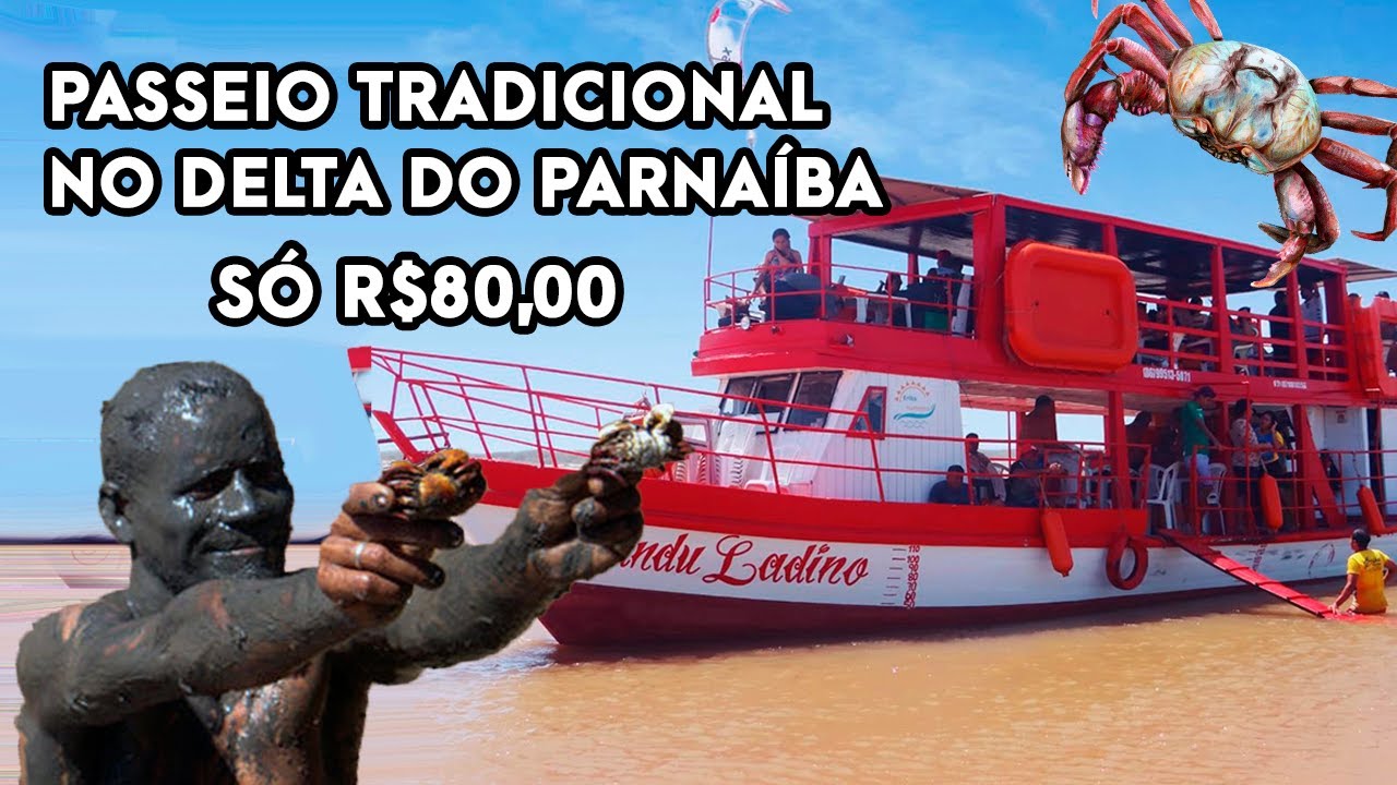 Visita ao Delta do Parnaíba (Passeio Delta Tradicional) - YouTube