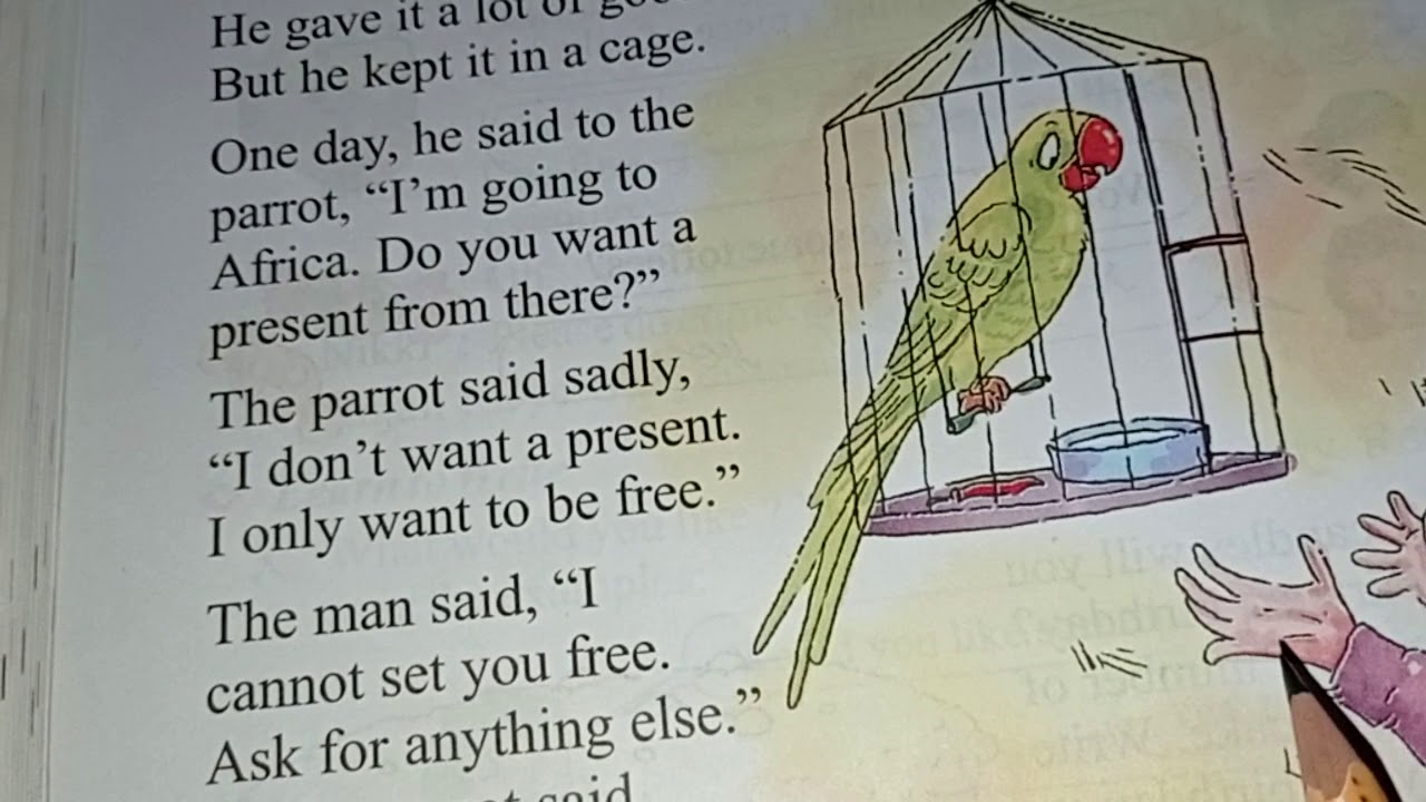 Class-First, Subject-English - YouTube