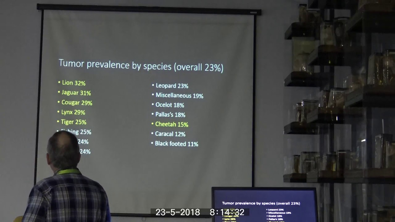 Neoplasia in Zoo Felids - Michael Garner, Northwest Zoopath - YouTube