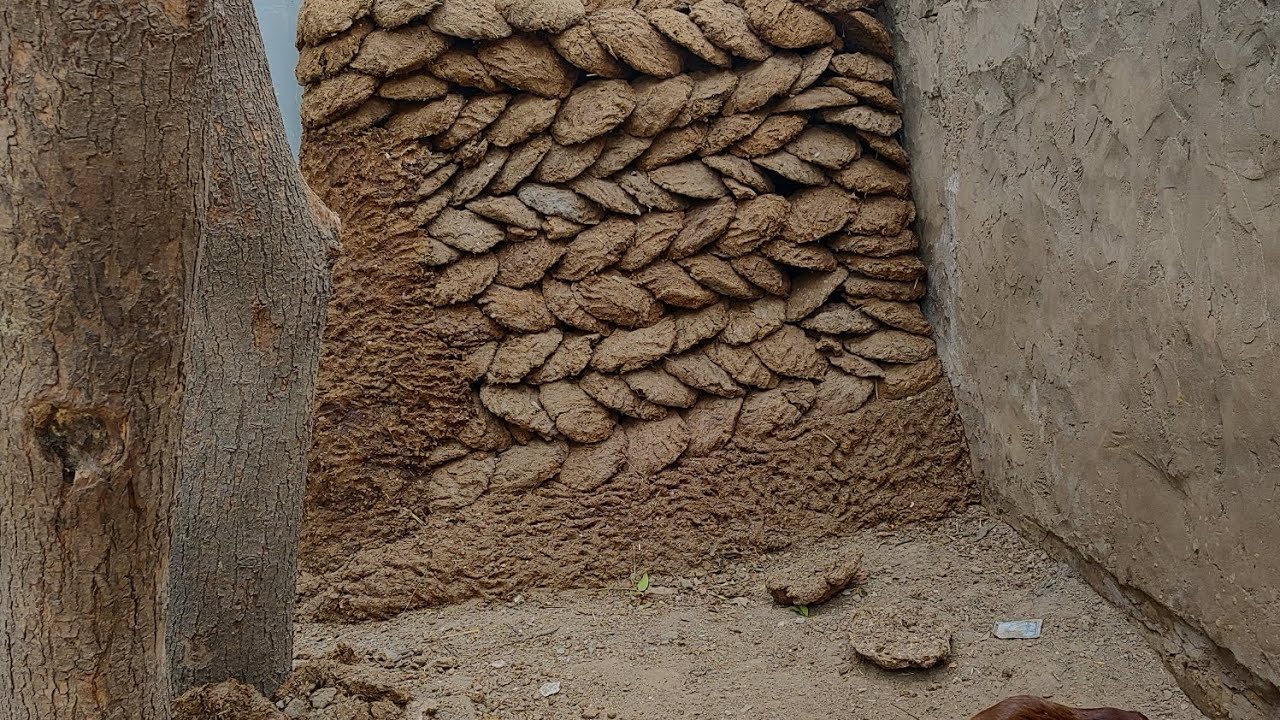 Bitoda II 1st Vlog - Home Tour II घेर का दौरा - YouTube