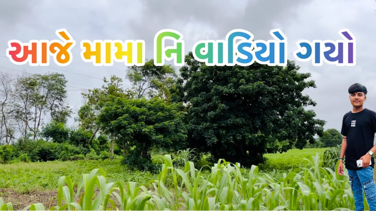 આજે મામા નિ વાડિયે ગયો😍 aaje mama ni vadiye gayo 😍 @PithalpurRasoi ...