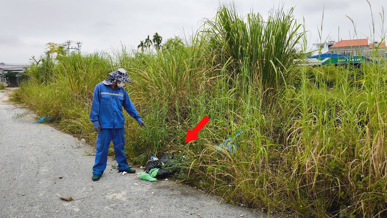 Neighborhood Residents Neglect Sidewalk Overgrown Weeds and Turned it ...