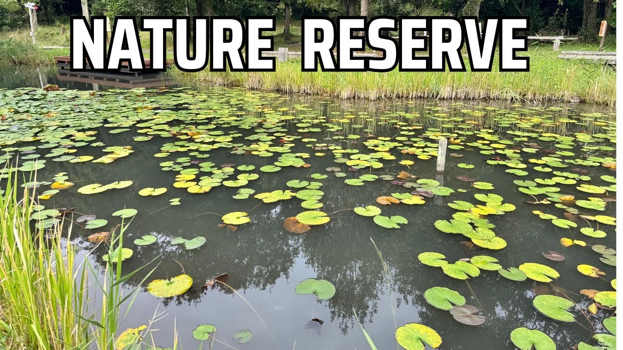 One Of Japan’s Hidden Nature Reserve: Stunning Scenery & Wildlife ...