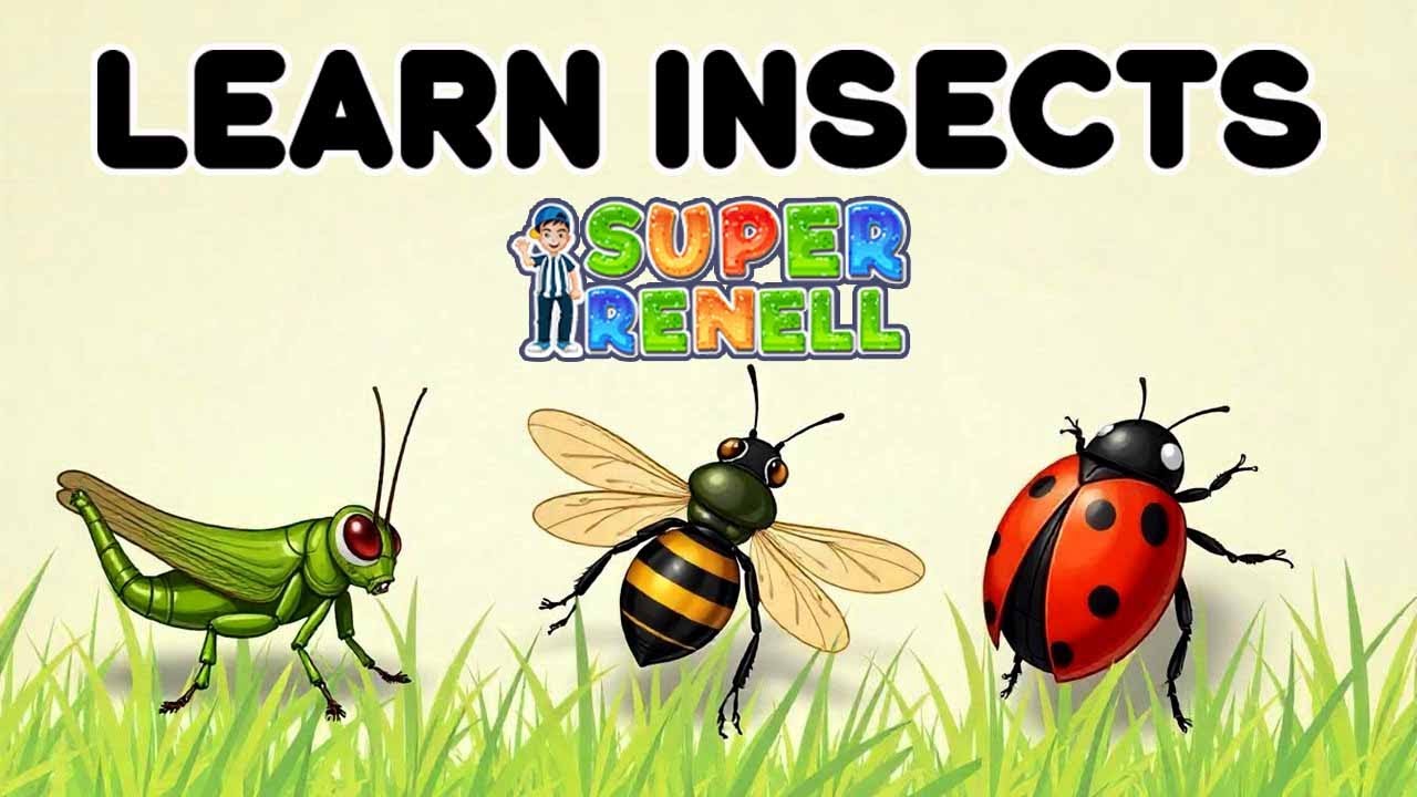 Kids Learn Bugs & Insects Educational Toddler Learning Video | Baby ...